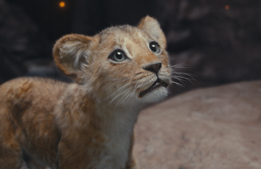 “Mufasa: Il Re Leone”: arriva a dicembre il nuovo film Disney